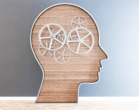 AP Psychology Course | Online Education at Knovva Academy